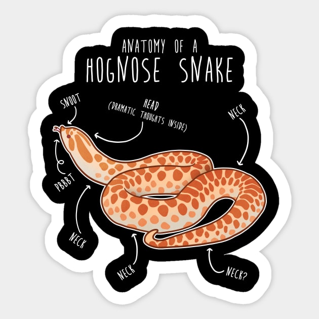 Albino Hognose Snake Anatomy - Albino Hognose Snake - Sticker | TeePublic