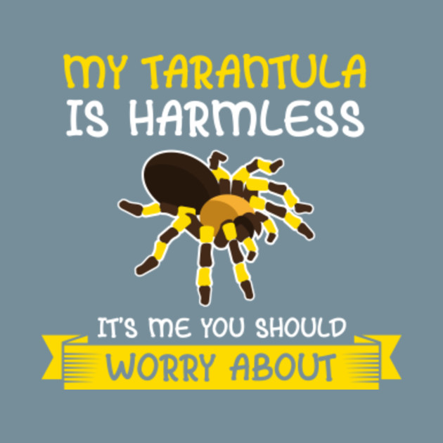 My Tarantula Is Harmless It´s Me You Should Worry About Gift - My ...