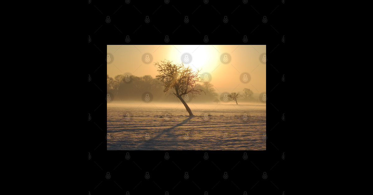 Push forword we can make it. - Declan Carr - Sticker | TeePublic