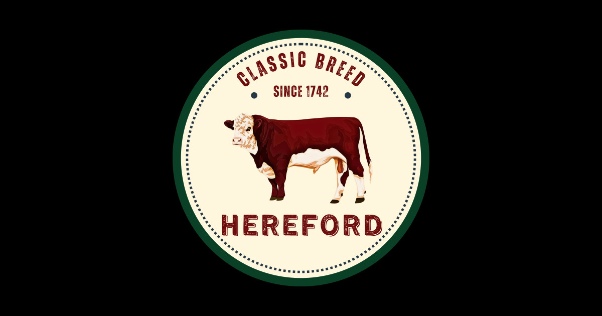 Hereford Beef - Hereford - Sticker | TeePublic