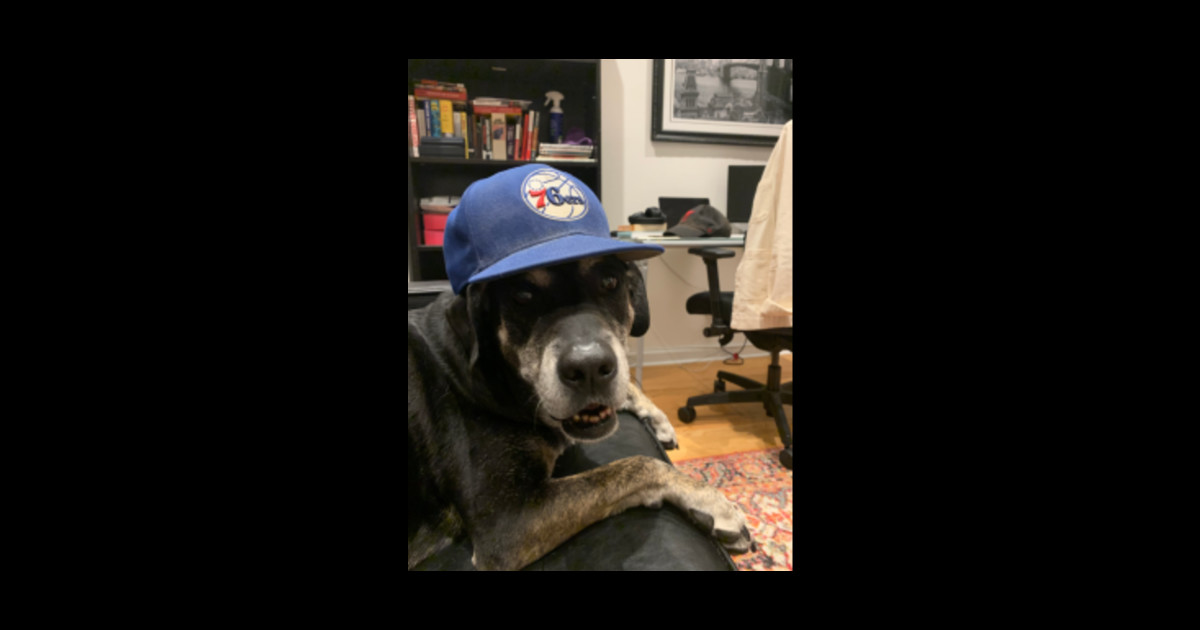 LILY DOG COPYPASTA - Lily - T-Shirt | TeePublic