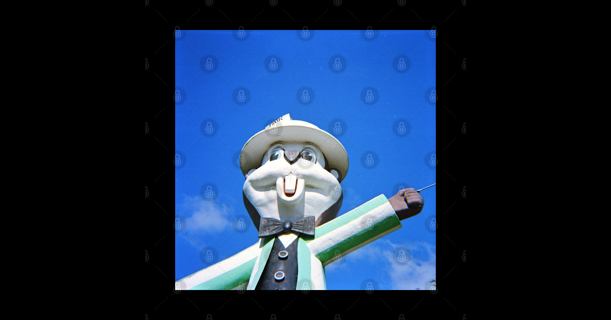 Giant Gopher Statue - Lomography Medium Format Diana F+ - Minnesota ...