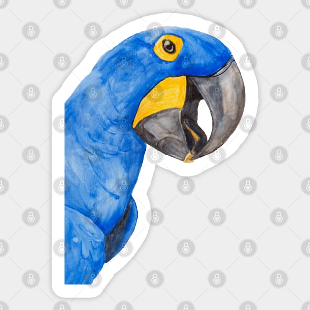 hyacinth macaw blue parrot bresil watercolor art print - Hyacinth ...