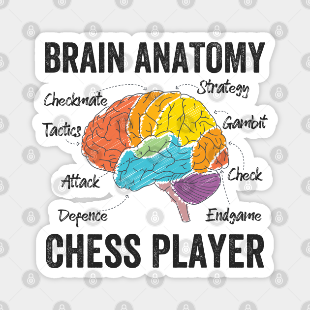 Chess - Brain Anatomy Of A Chess Player - Chess - Magnet | TeePublic
