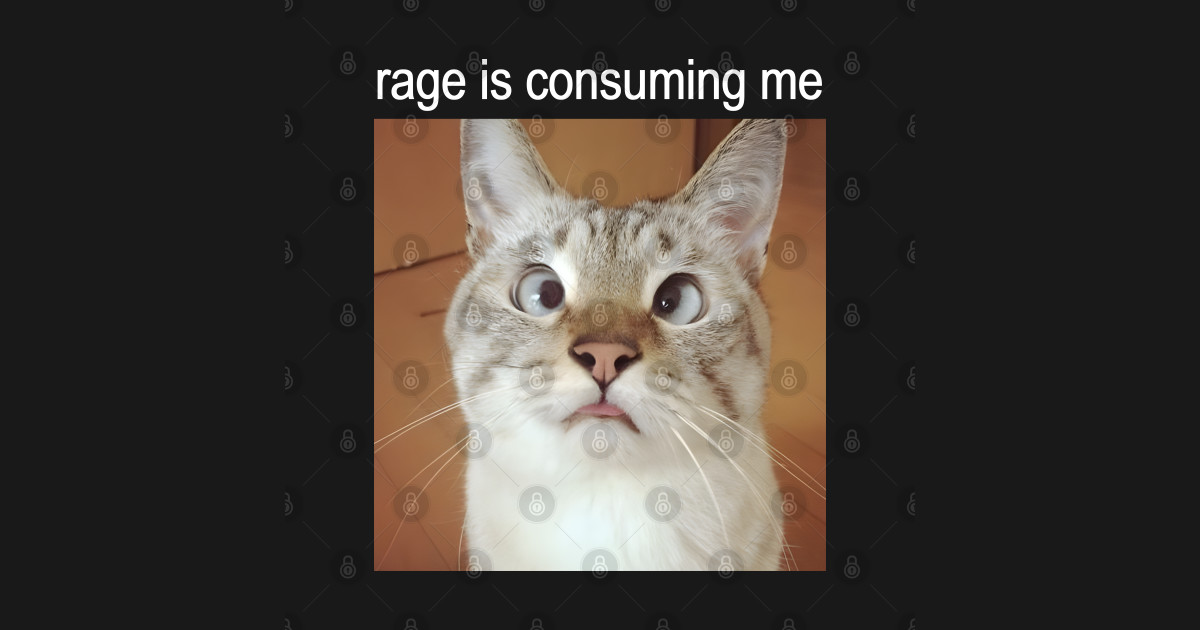Rage is Consuming Me Silly Staring Cat Meme - Rage Is Consuming Me ...