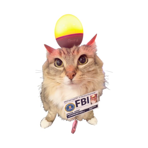 Luna the FBI Car 2 - Luna Is Tabby - T-Shirt | TeePublic