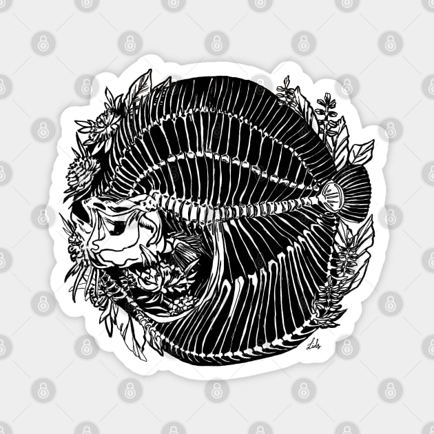 Skeleton fish flounder - Skeleton Drawing - Magnet | TeePublic