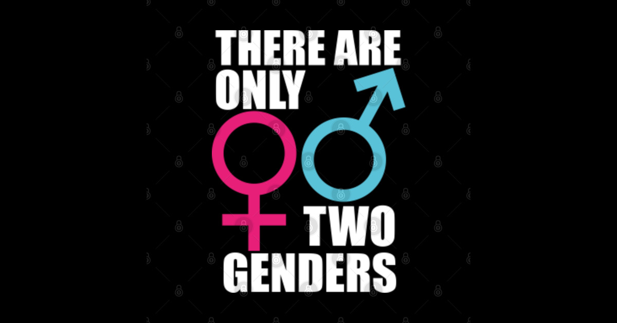 There Are Only Two Genders - There Are Only Two Genders - T-Shirt ...