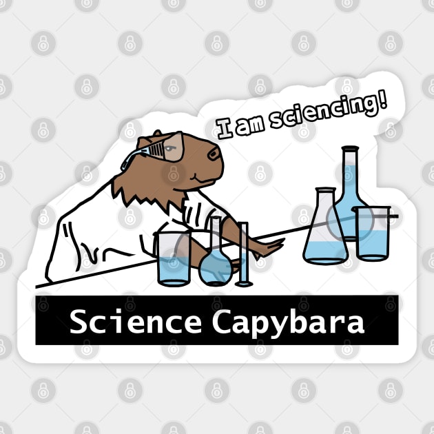 I Am Sciencing says Science Capybara - Capybara - Sticker | TeePublic