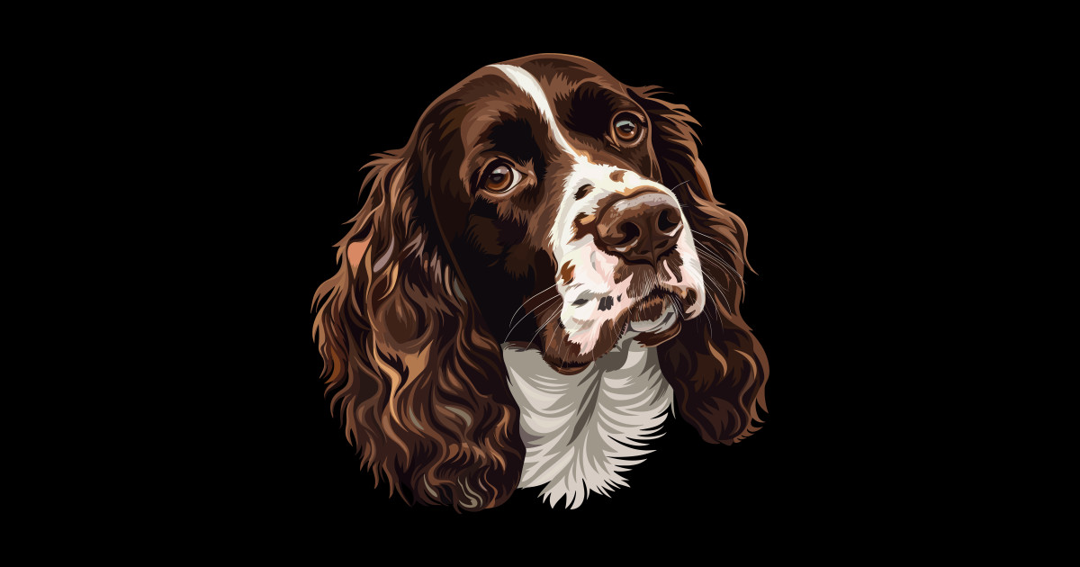 English Springer Spaniel Dog - English Springer Spaniel Dog - Sticker ...