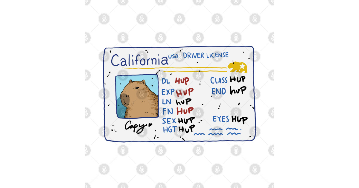 Capybara California Driver License - Capybara - T-Shirt | TeePublic