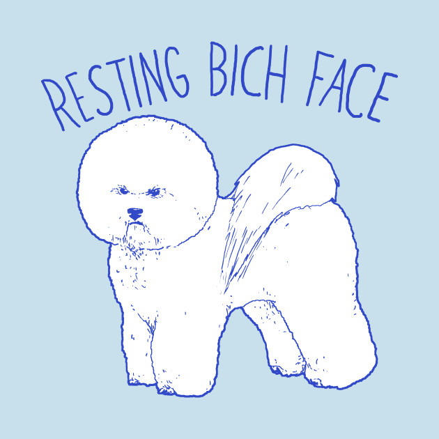 Resting Bich Face - Bichon Frise - T-Shirt | TeePublic