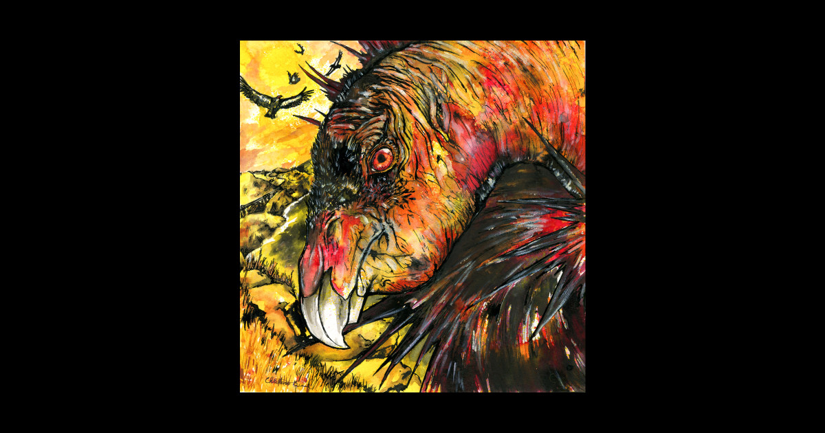 California Condor Red-eyes - California Condor - Posters and Art Prints ...