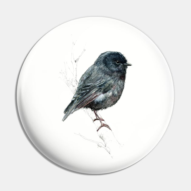 The Black Robin, New Zealand native bird - New Zealand - Pin | TeePublic