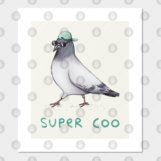 Super Coo - Pigeon - Posters and Art Prints | TeePublic