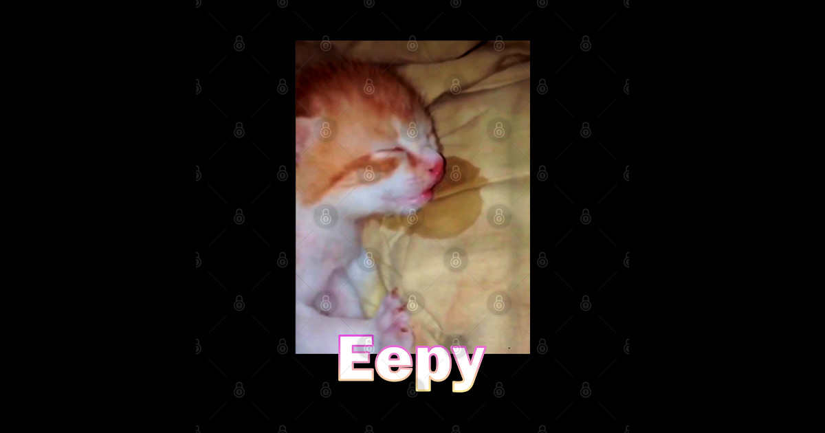 Eepy Cat Meme - Eepy - Posters and Art Prints | TeePublic