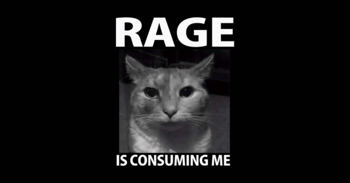 Rage Is Consuming Me Silly Staring Cat Meme Funny - Rage Consumes Me ...