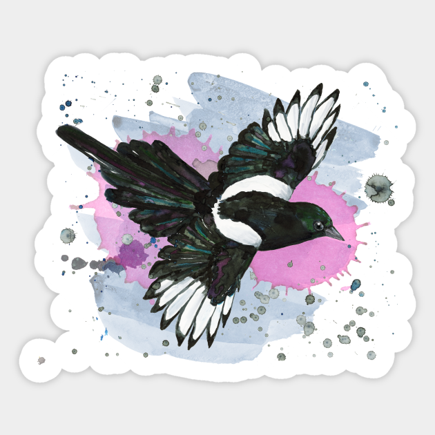 A watercolor drawing of a flying magpie - Magpie - Sticker | TeePublic