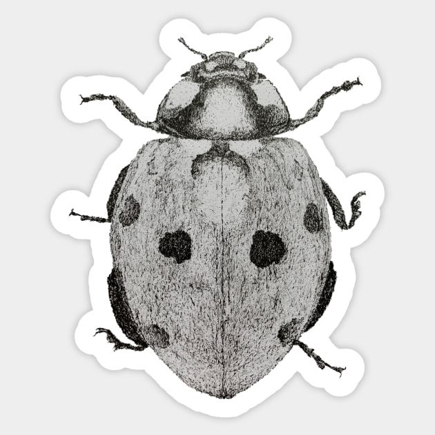 Dotwork Ladybug Art Print - Ladybug - Sticker | TeePublic
