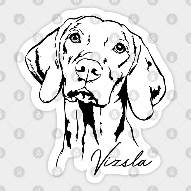how to draw a vizsla dog