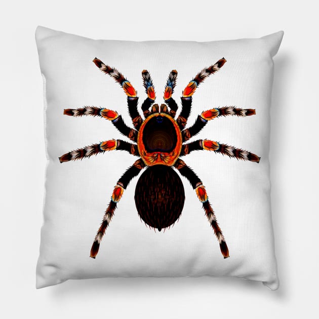 Funky Tarantula Spider - Spider - Pillow | TeePublic