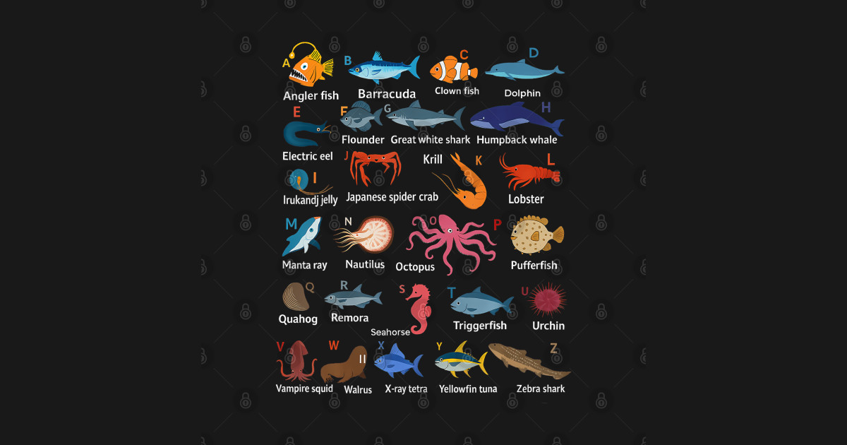 A-Z Ocean Life Exploration - Sea Creatures Alphabet - Ocean Life ...