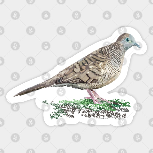 Zebra Dove, Barred Ground Dove - Bird - Sticker | TeePublic