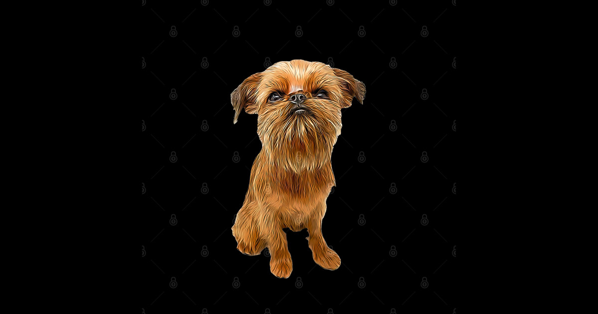 Brussels Griffon Bruxellois Cute Puppy Dog - Griffon Bruxellois ...