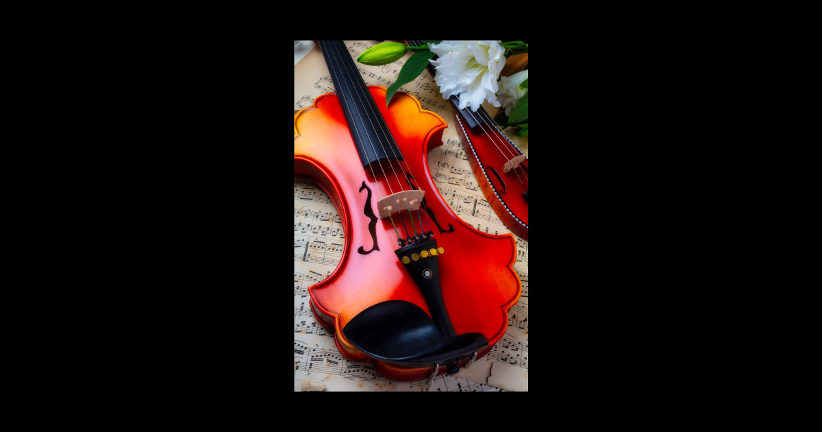 Baroque Viola With Pocket Violin And Lilies - Baroque - Sticker | TeePublic