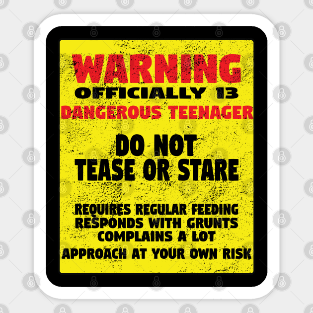 13th Birthday - Warning Officially 13 Dangerous Teenager - 13th ...