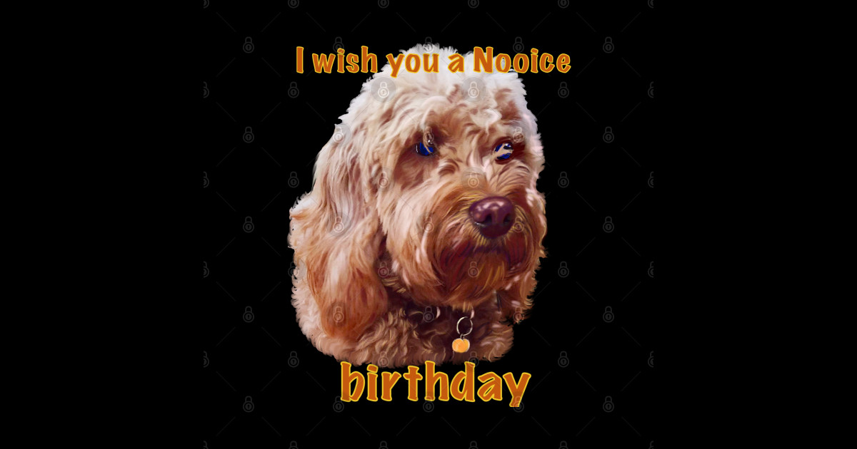 Happy birthday greetings, I wish you a nooice birthday - Cavapoo puppy ...