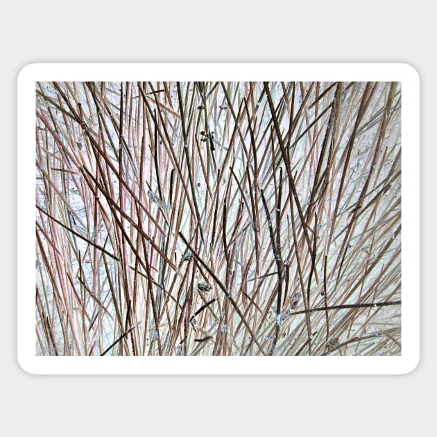 Rushes in Winter - Rush - Sticker | TeePublic
