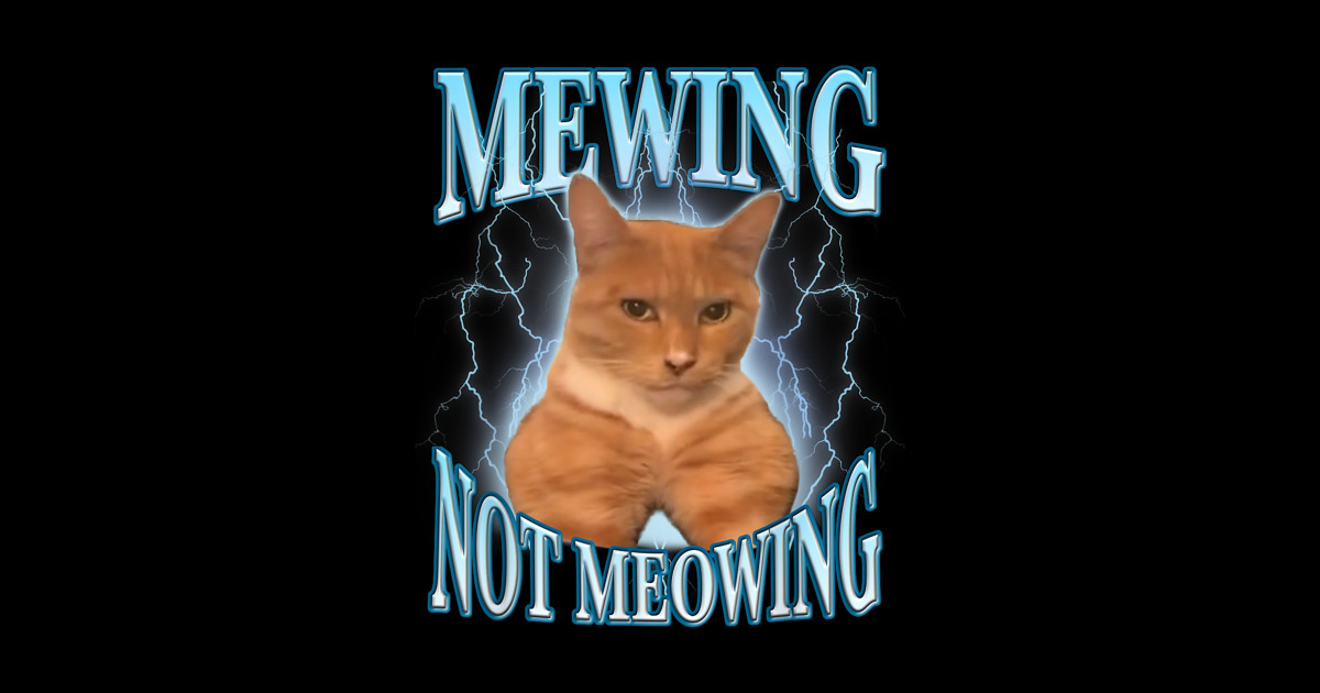 Funny Cat Meme Mewing LooksMax Meowing Cat Trend - Funny Cat Meme ...