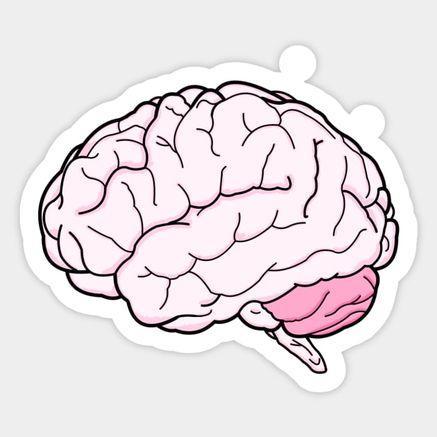 Colorful Brain Line Art small - Brain - Sticker | TeePublic