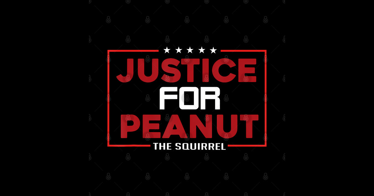 Justice For Peanut The Squirrel - Justice For Peanut - Posters and Art ...