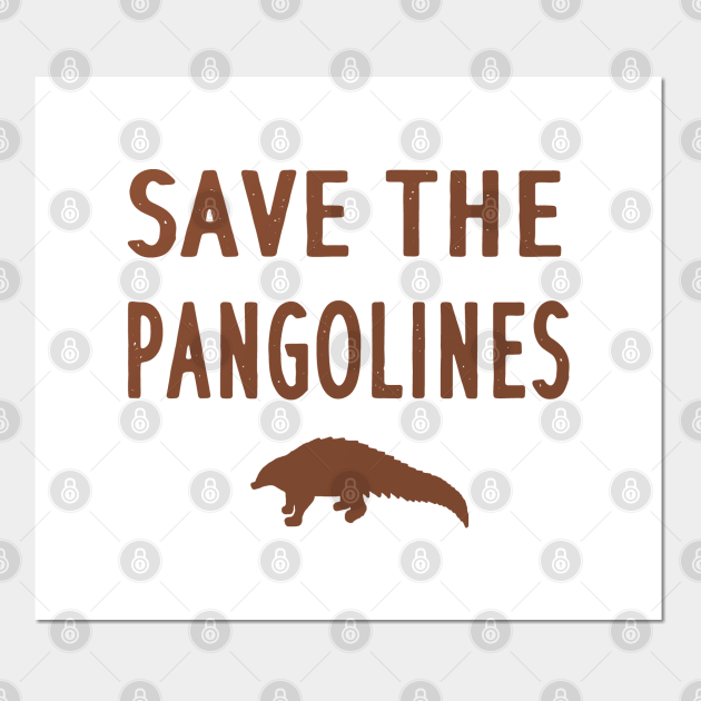 Save the pangolins saying pangolin nature - Save The Pangoline ...