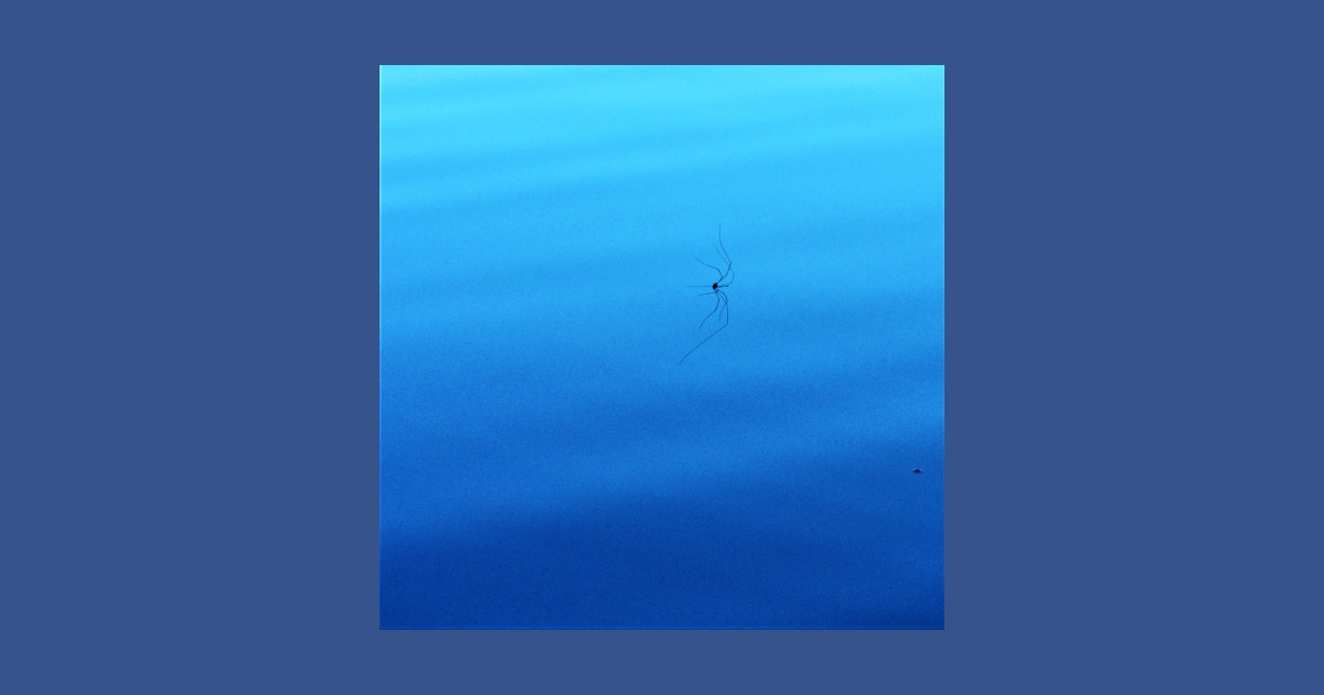 Daddy Long Legs - Daddy - T-Shirt | TeePublic