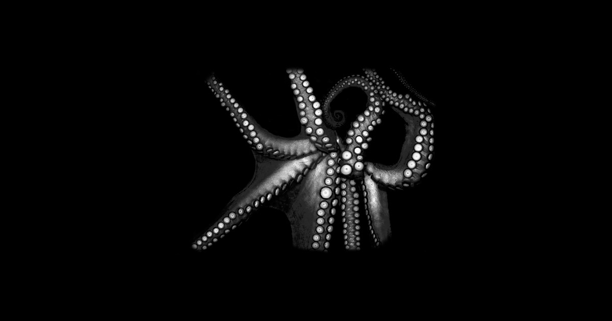 Octopus Pet squid octopus polyp sea animal giant octopus - Octopus ...