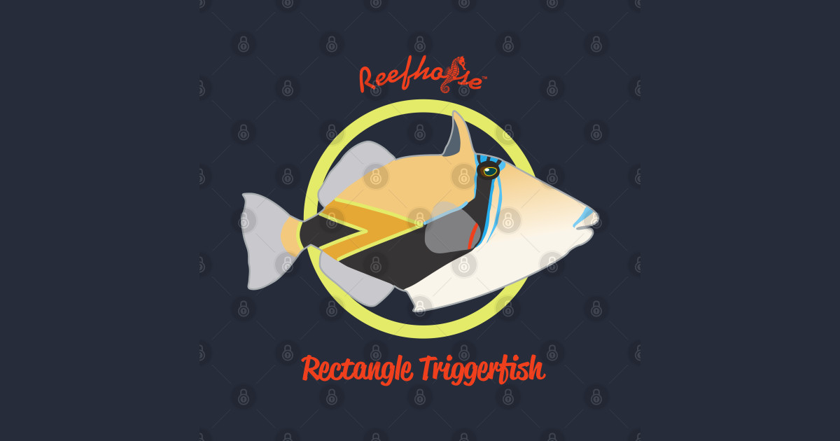Rectangle triggerfish - Reefhorse - T-Shirt | TeePublic