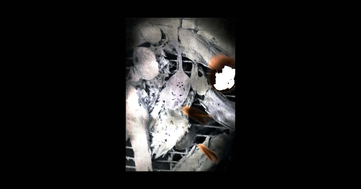 MAGGOT FISH - Monarch Bdsm - Sticker | TeePublic