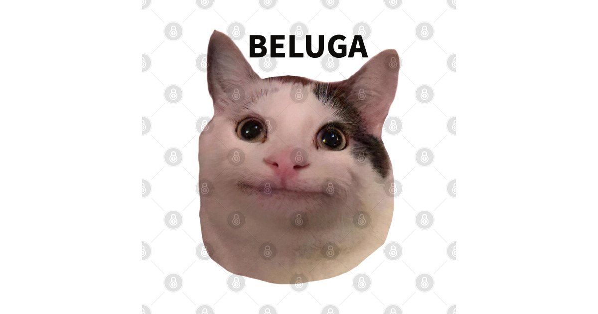 Beluga Cat - Beluga Cat Meme - T-Shirt | TeePublic