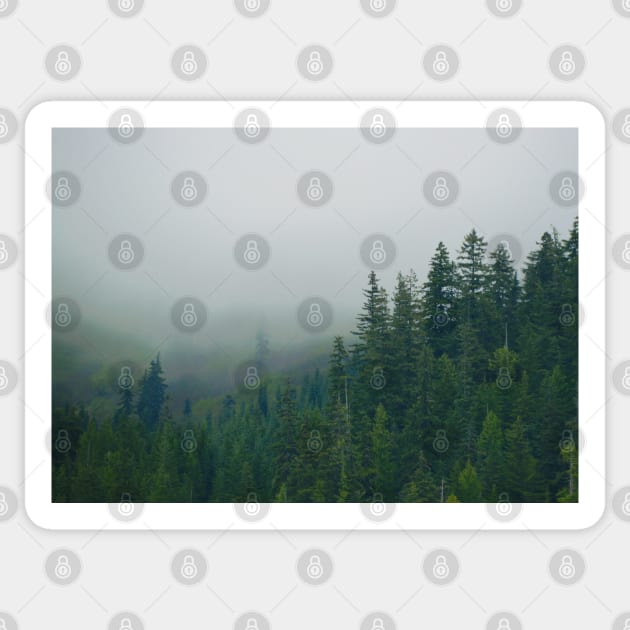 Misty Mountains - Misty - Sticker | TeePublic