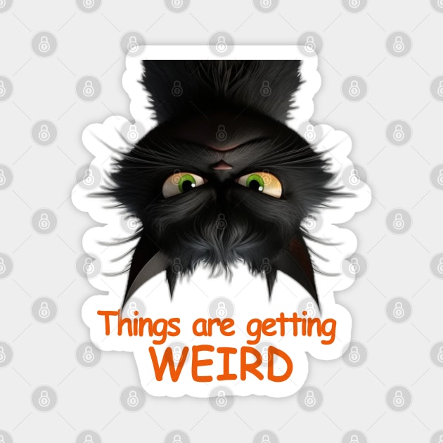 Angus the Cat - Things are Getting Weird - Angus The Cat - Magnet ...