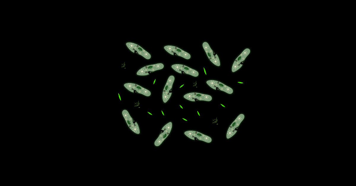 Paramecium - Paramecium - Sticker | TeePublic