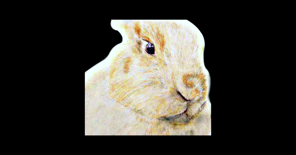 Sir Patches of FairyCastleFarm - Bunny - Sticker | TeePublic