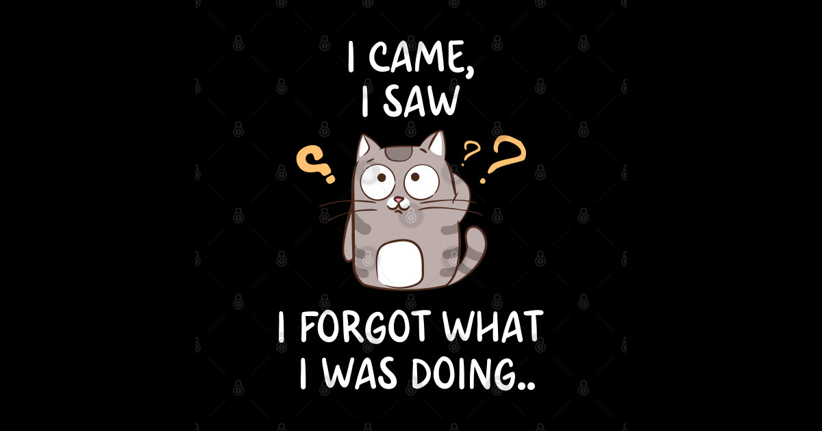 I came i saw i forgot what i was doing - I Came I Saw I Forgot What I ...