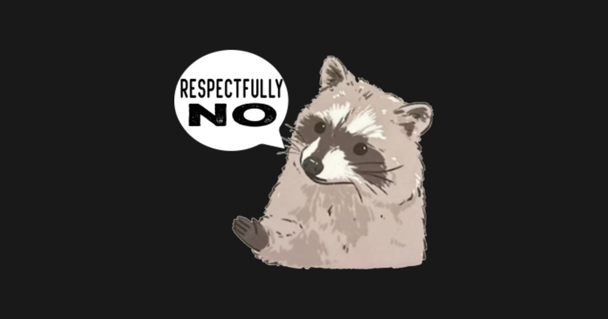 Raccoon Respectfully No Raccoon - Raccoon Respectfully No - T-Shirt ...