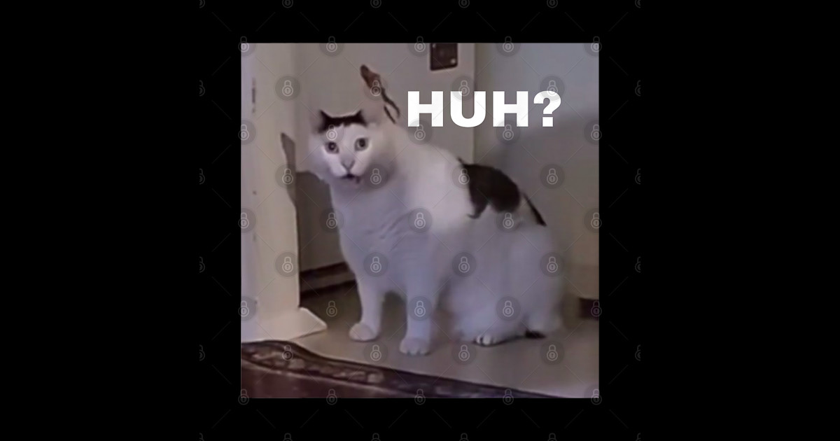 Meme Huh Cat - Meme Huh Cat - Sticker | TeePublic