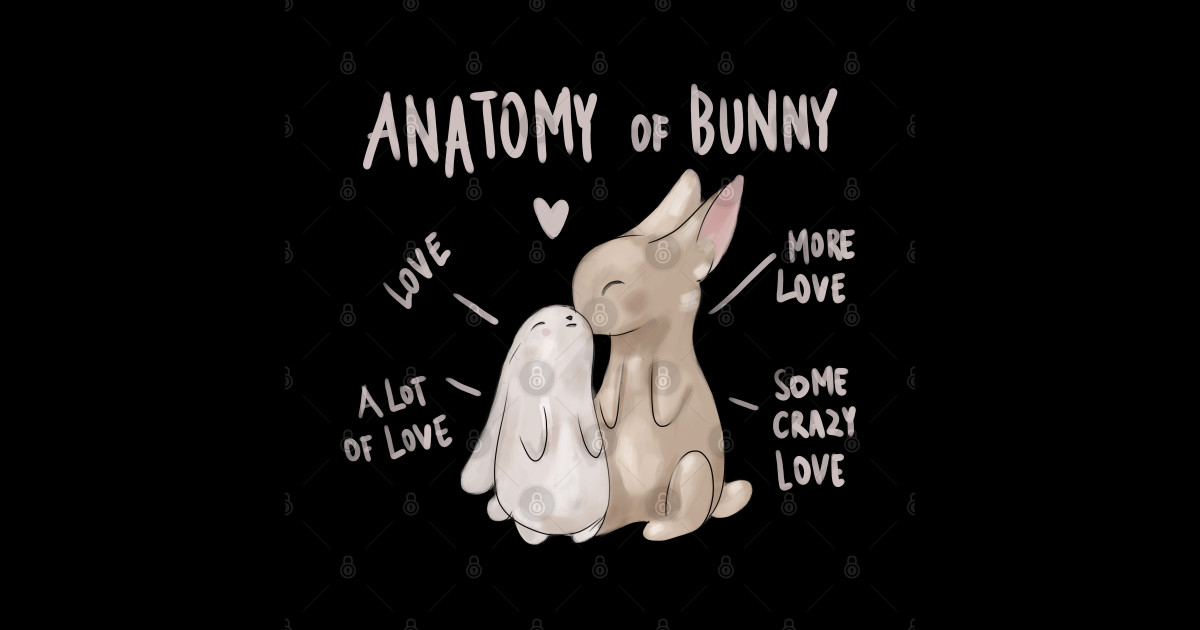Bunny lover Anatomy of Rabbit Love cute bunny pet - Bunny Lover Gift ...
