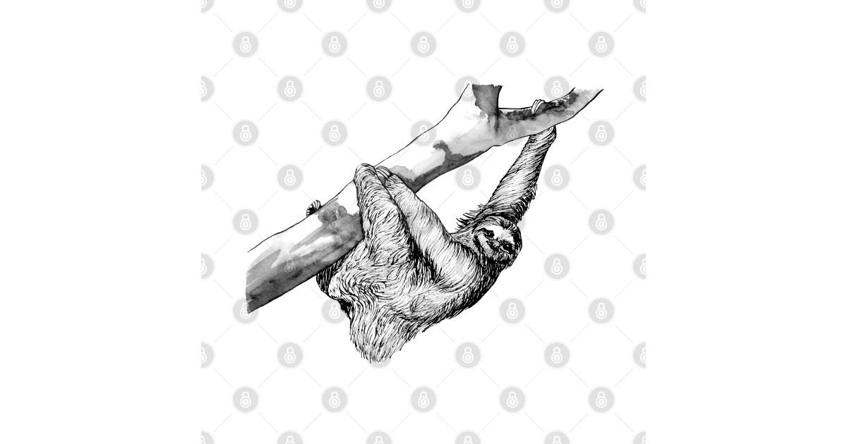Ink Drawing of Sloth - Sloth - T-Shirt | TeePublic
